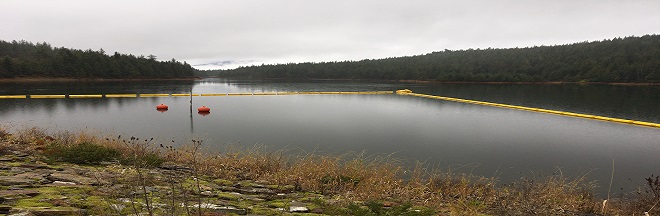 Walter Hardman Project