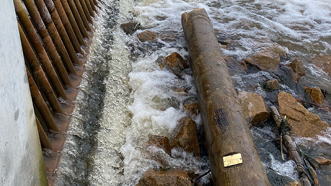 How a power pole travelled hundreds of kilometres from home