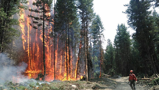 Evacuation resources and preparedness