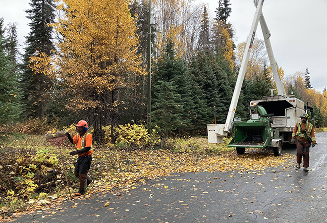 Tree pruning and removals vital to power outage prevention